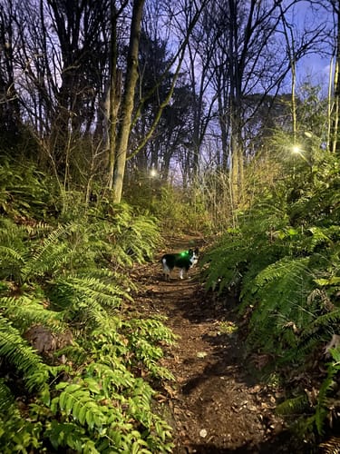 Best Hikes and Trails in Frink Park | AllTrails