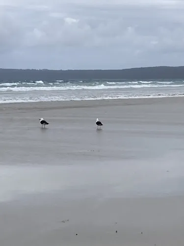 Best Hikes and Trails in Shallow Inlet Marine and Coastal Park | AllTrails