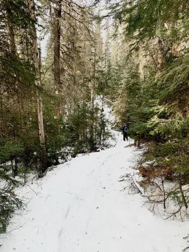 Best Hikes and Trails in Carson-Pegasus Provincial Park | AllTrails