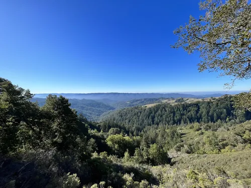 10 Best Hikes and Trails in Skyline Ridge Open Space Preserve | AllTrails