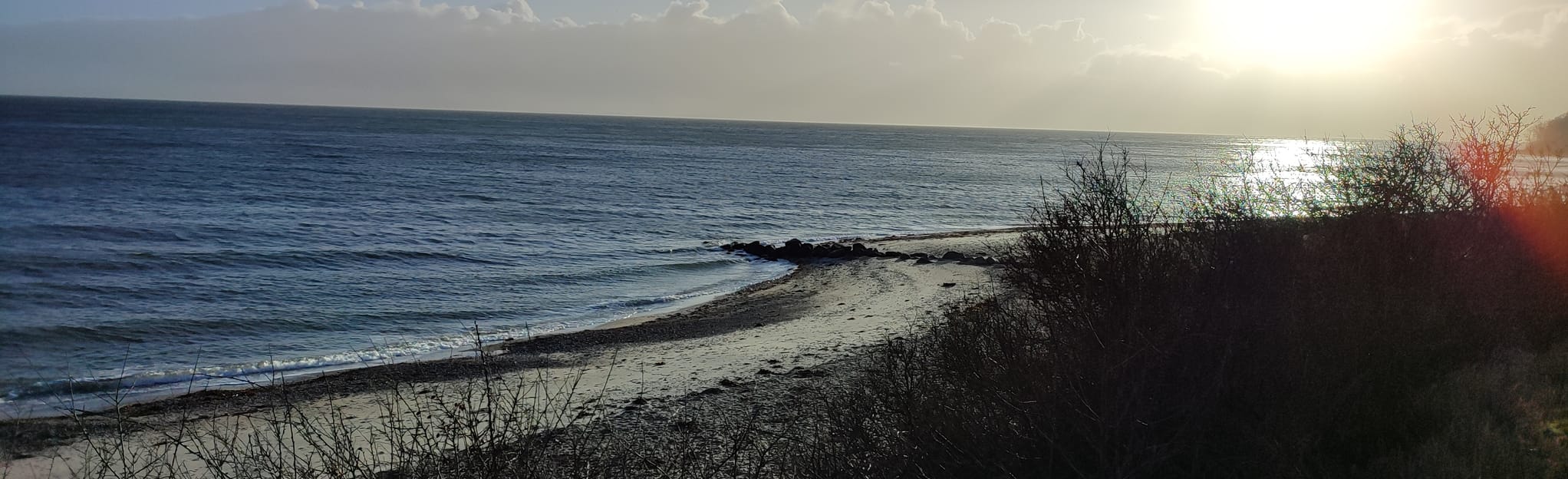 Thors Skov - Moesgaard Strand, Fløjstrup, 101 Fotos - Central Denmark ...
