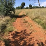 Sterkfontein Heritage Lodge Trail, Gauteng, South Africa - 107 Reviews ...