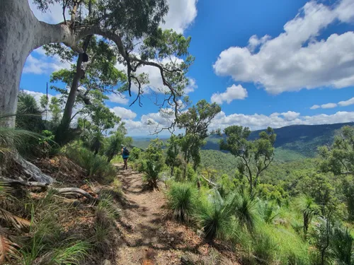 Best Hikes and Trails in Mount Archer National Park | AllTrails