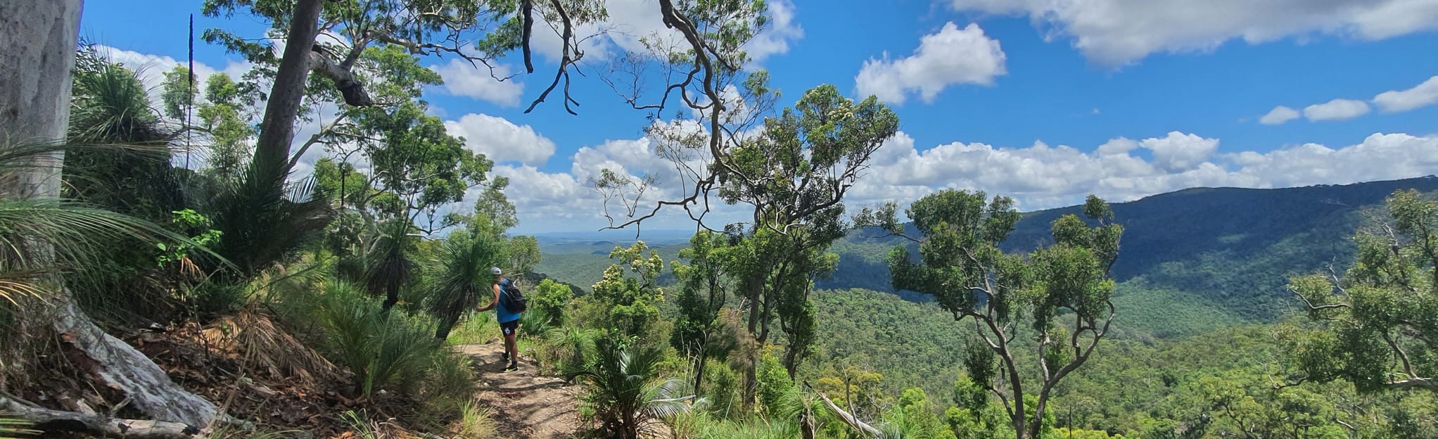 Zamia Walk: 142 fotos - Queensland, Austrália | AllTrails