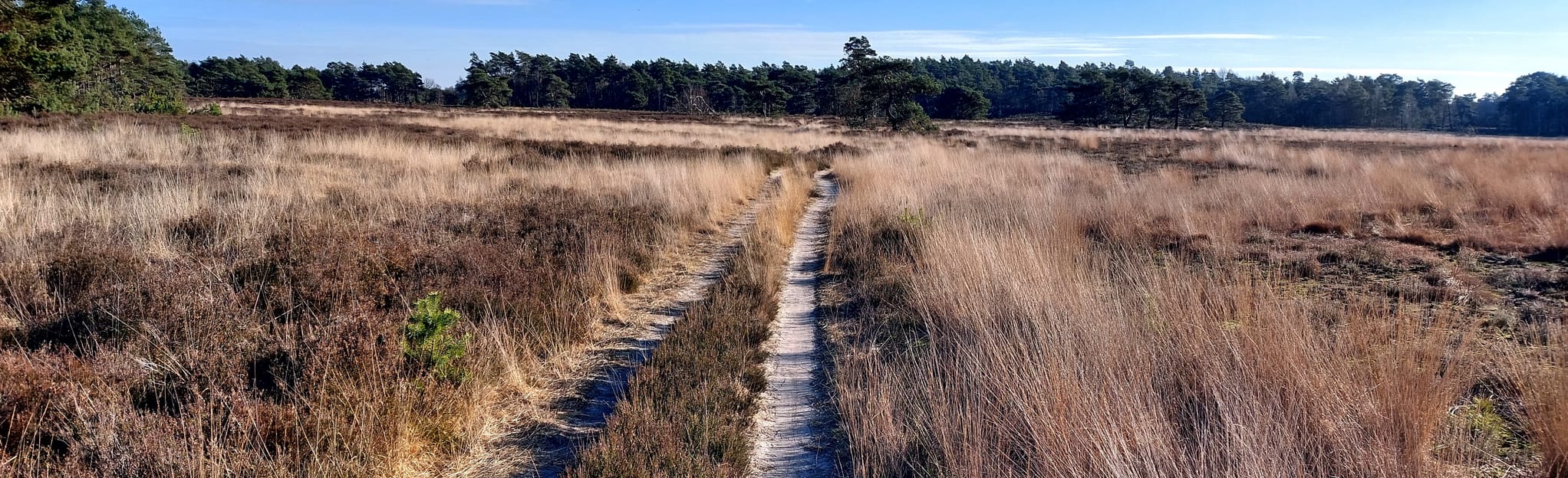 Landgoed Tongeren - Wisselse Veen, Gelderland, Netherlands - 5 Reviews ...