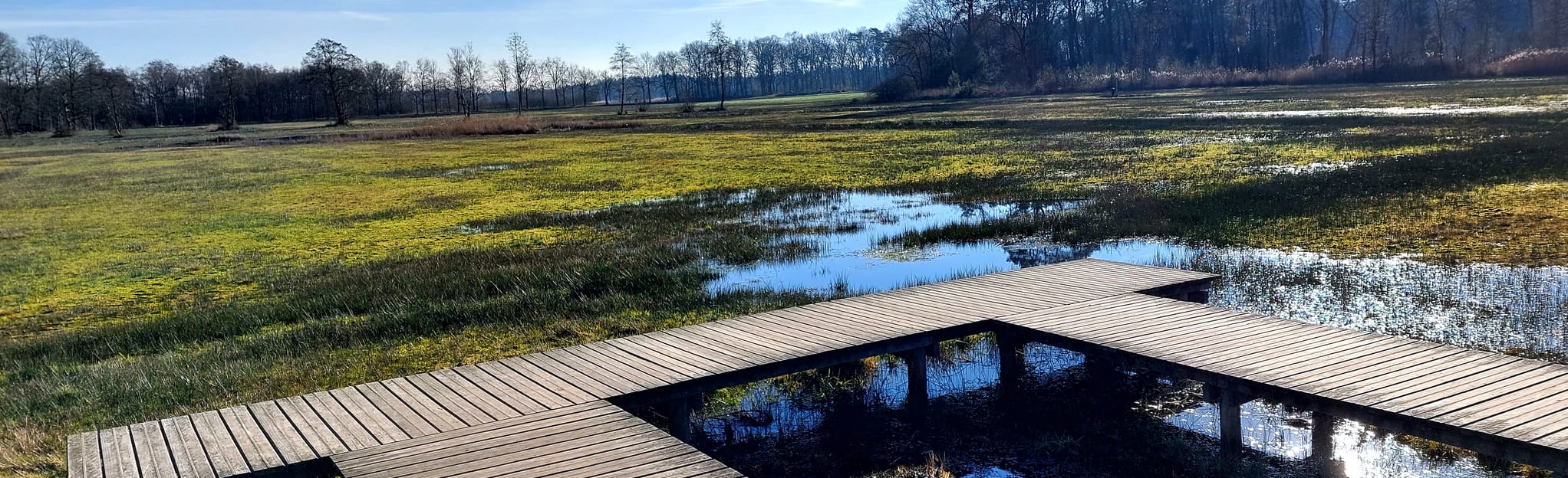 Tongeren - Welna - Smitsveen: 11 Reviews, Map - Gelderland, Netherlands ...