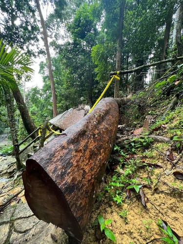 2023: Beste Routen in der Umgebung von Bukit Tampin Waterfall | AllTrails