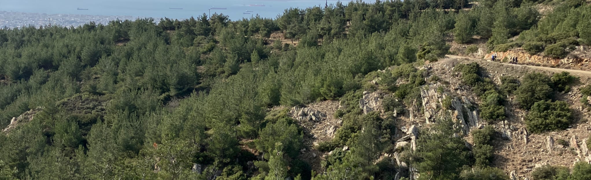 Ano Toumba - Agios Panteleimon im Wald von Seich-Sou | AllTrails