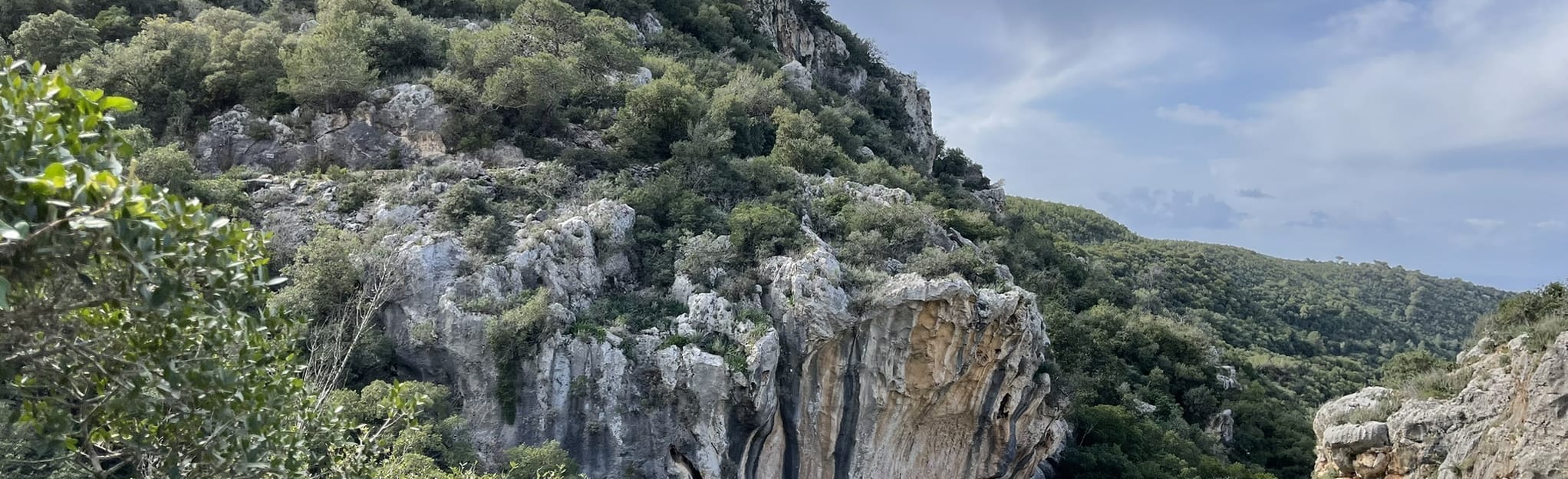 Chai Bar Carmel, Wadi Kelah, Mount Shoqef and Beit Oren Forest: 1 ...