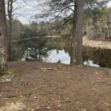 Douglas Forest Wallis Pond Loop Trail, Massachusetts - 875 Reviews, Map ...