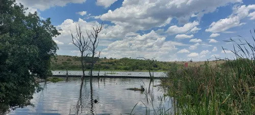 Best Wild Flowers Trails in Zwartkop | AllTrails