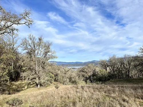 10 Best Trails and Hikes in Ukiah | AllTrails