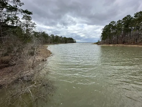 Best Hikes and Trails in South Toledo Bend State Park | AllTrails