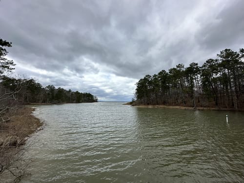 Best Hikes and Trails in South Toledo Bend State Park | AllTrails