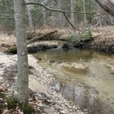 Chaptico Park Nature Trail, Maryland - 69 Reviews, Map | AllTrails