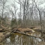 Chaptico Park Nature Trail, Maryland - 69 Reviews, Map | AllTrails