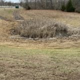 Chaptico Park Nature Trail, Maryland - 69 Reviews, Map | AllTrails