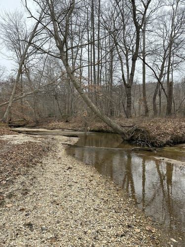 Best Hikes and Trails in Chaptico Park | AllTrails