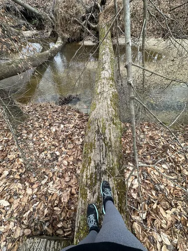 Best Hikes and Trails in Chaptico Park | AllTrails