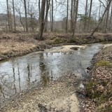 Chaptico Park Nature Trail, Maryland - 69 Reviews, Map | AllTrails