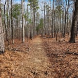 Tamassee Knob Trail, South Carolina - 306 Reviews, Map | AllTrails