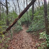 Tamassee Knob Trail, South Carolina - 306 Reviews, Map | AllTrails