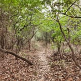 Tamassee Knob Trail, South Carolina - 306 Reviews, Map | AllTrails