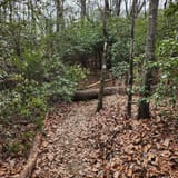 Tamassee Knob Trail, South Carolina - 306 Reviews, Map | AllTrails