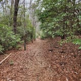 Tamassee Knob Trail, South Carolina - 306 Reviews, Map | AllTrails