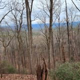 Tamassee Knob Trail, South Carolina - 306 Reviews, Map | AllTrails
