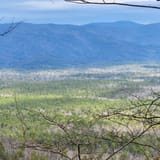 Tamassee Knob Trail, South Carolina - 306 Reviews, Map | AllTrails