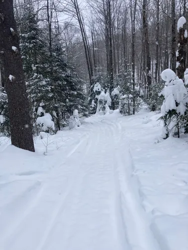 Best Short Trails in Val-Des-Monts | AllTrails