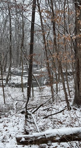 Best Hikes and Trails in Oakdale Nature Preserve | AllTrails