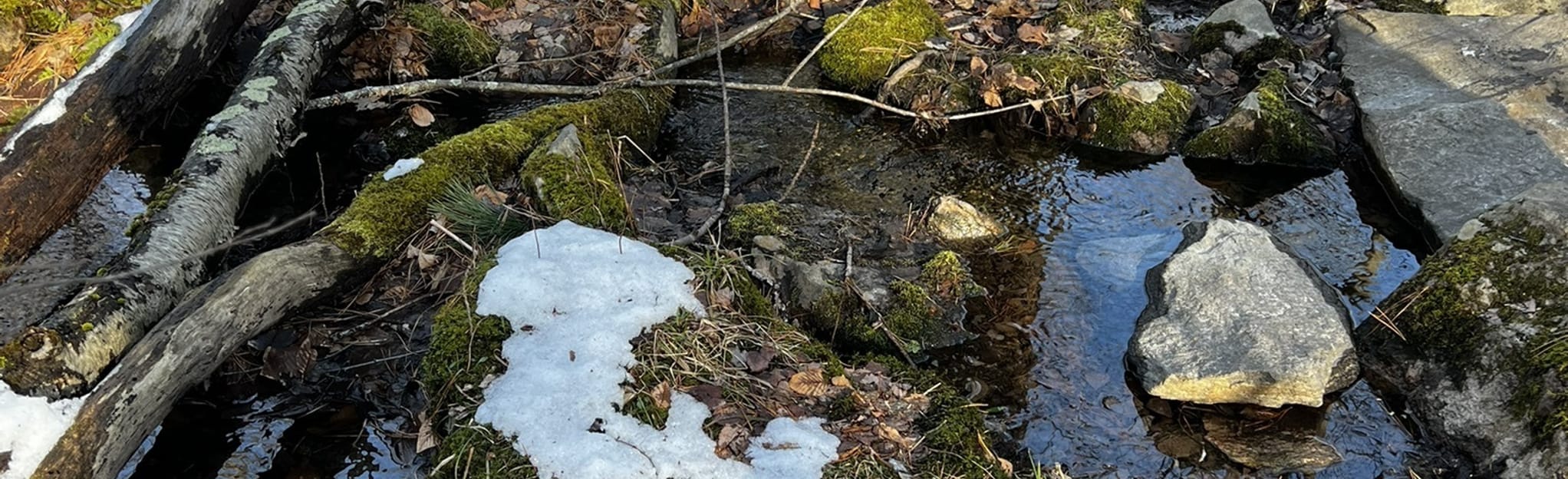 Patch Hill Conservation Area Loop: 77 Reviews, Map - Massachusetts ...