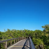 Gordon River Greenway, Florida - 840 Reviews, Map | AllTrails