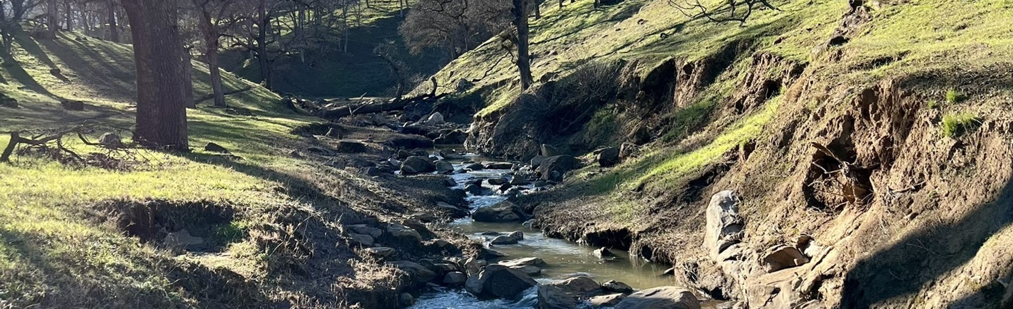 Foxtail Trail Via Miwok and Murphy Meadow Trail, California - 162 ...