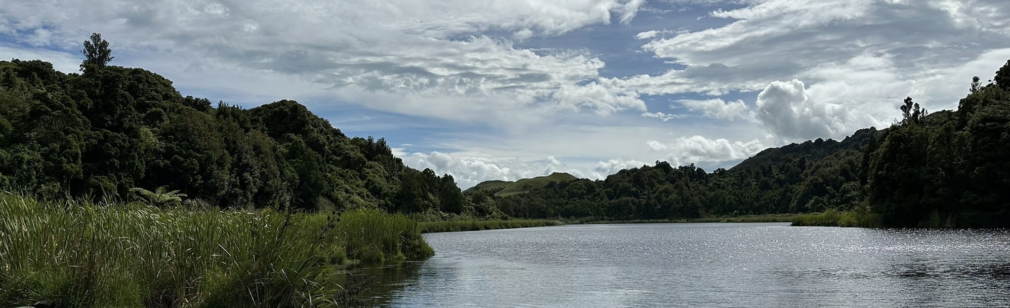 Lake Rotokare Loop, Taranaki, New Zealand - 23 Reviews, Map | AllTrails