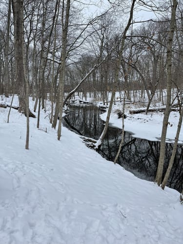 Best Hikes and Trails in Gilbert Park | AllTrails