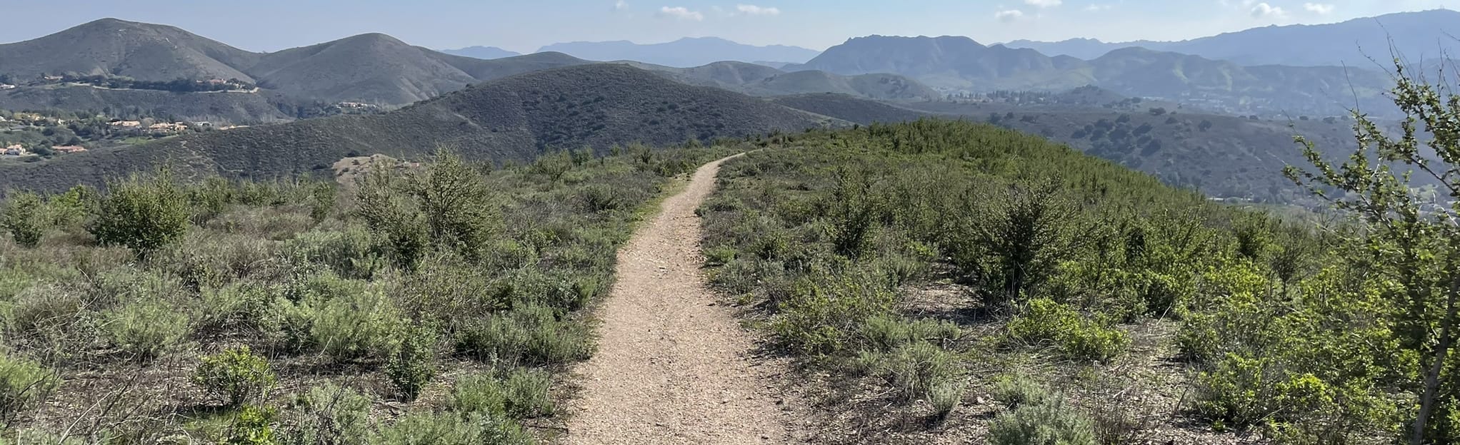 White Sage Trail and Hillcrest Ridge Trail Loop: 203 Reviews, Map ...