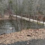 Bee Brook Loop, Connecticut - 977 Reviews, Map | AllTrails
