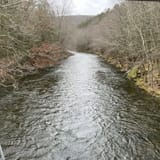Bee Brook Loop, Connecticut - 977 Reviews, Map | AllTrails