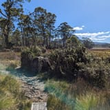 Arm River Track to New Pelion Hut, Tasmania, Australia - 59 Reviews ...