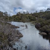 Arm River Track to New Pelion Hut, Tasmania, Australia - 59 Reviews ...
