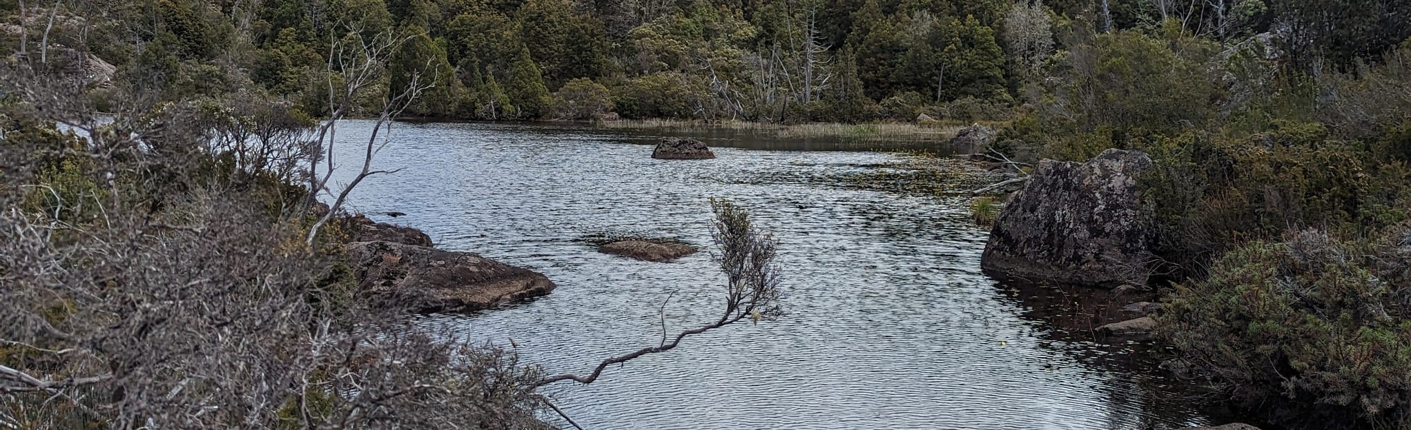 Arm River Track to Basil Steers Hut: 5 Reviews, Map - Tasmania ...