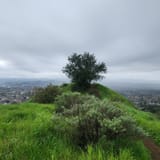 Colby Trail, California - 805 Reviews, Map | AllTrails