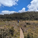 Arm River Track to New Pelion Hut, Tasmania, Australia - 59 Reviews ...