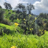 Colby Trail, California - 805 Reviews, Map | AllTrails