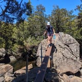 Arm River Track to New Pelion Hut, Tasmania, Australia - 59 Reviews ...