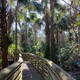 Fort Drum Marsh Loop, Florida - 81 Reviews, Map | AllTrails