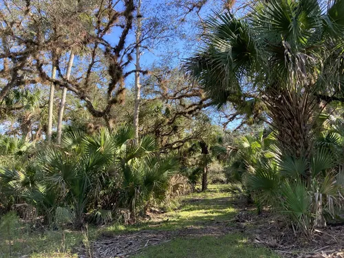 Best Hikes and Trails in Fort Drum Marsh Conservation Area | AllTrails